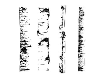 Birch tree clipart | Etsy