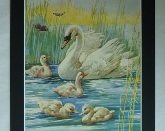 Unique swan print related items | Etsy