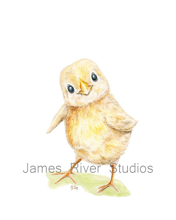 Baby Chick Art Baby Chicken Print. Farm by JamesRiverStudios
