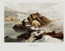 Unique 1880 print related items | Etsy