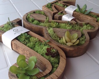 Succulent letter | Etsy