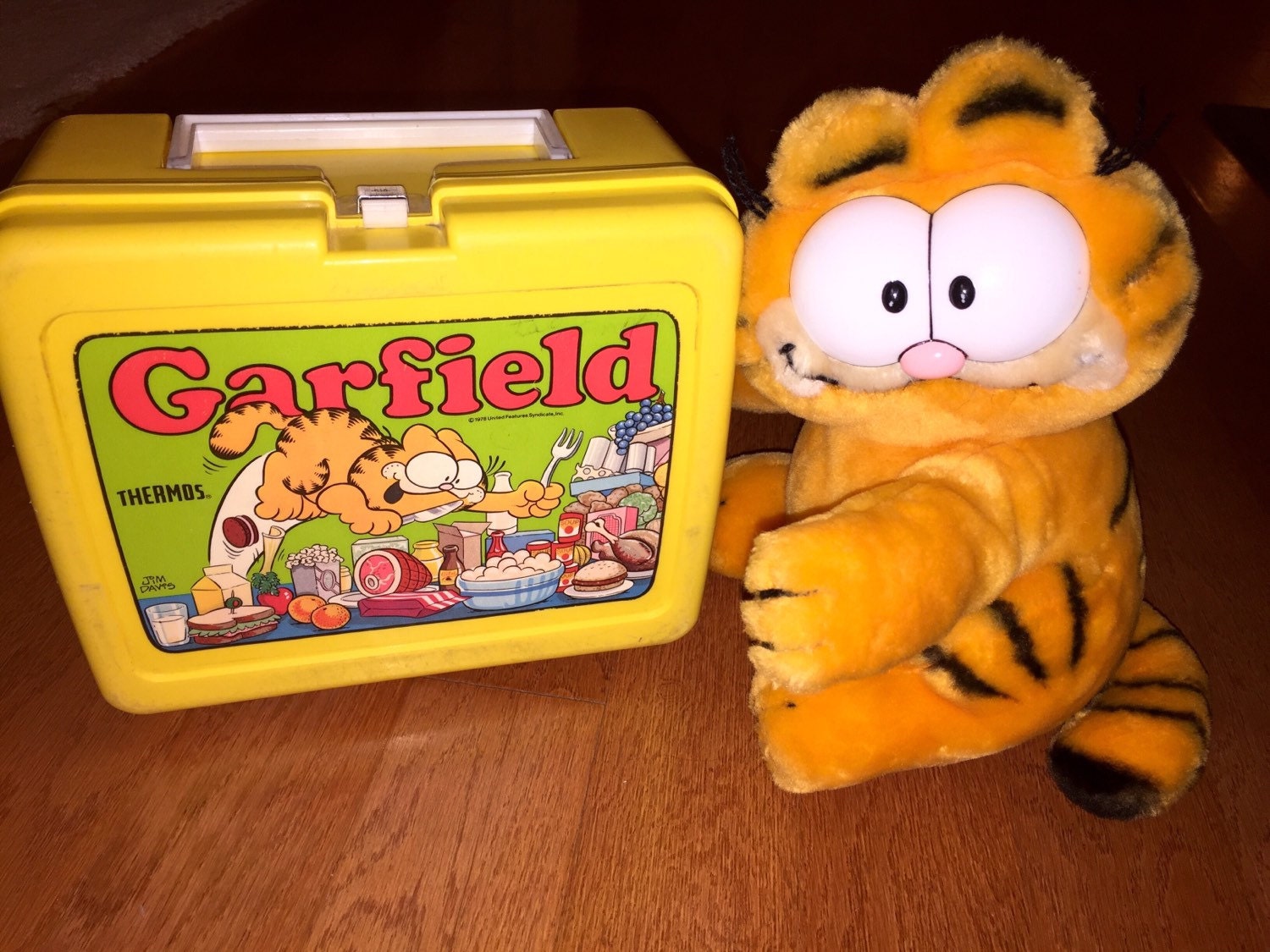 Vintage Garfield Plastic Lunch Box 1978 and Garfield plush toy