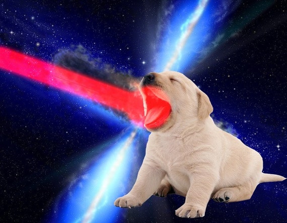 Puppy Shooting Laser Graphic
