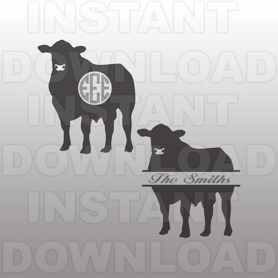 Angus Bull Monogram SVG File Cattle SVG Vector Art