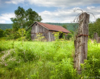 Rustic Old abandoned shack in the woods by garyhellerphotograph