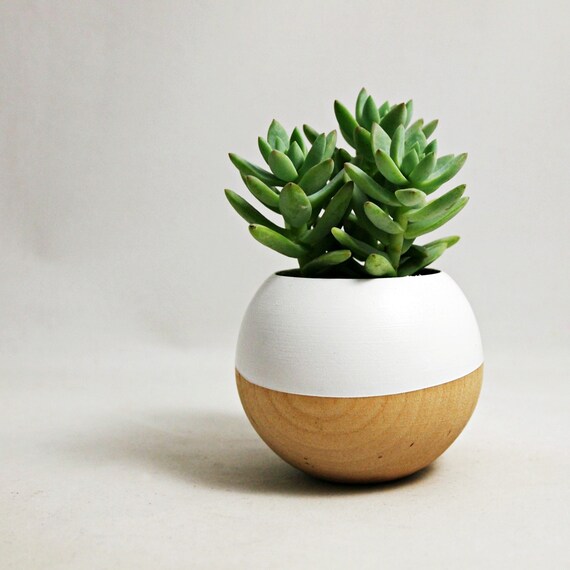 Sphere Succulent Air Plant Planter // White Wood by seaandasters