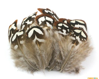 Brown feathers | Etsy