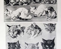 Popular items for vintage cat print on Etsy