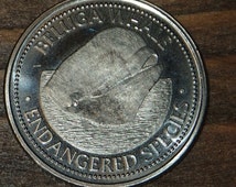 Unique beluga whale related items | Etsy