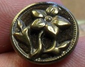 Julia's Buttons Postcards and Assorted Antiques by JuliaFineGoods