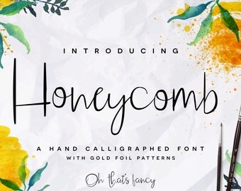 Just Awesome TypefaceBonus/modern script/monoline font/Script