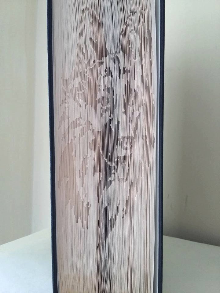 Shadow cut and fold book folding pattern for