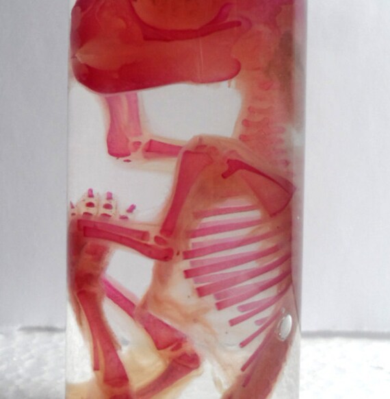 Diaphonized Deformed Bunny