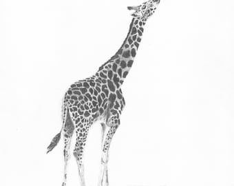 Giraffe sketch | Etsy