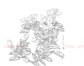 Chinese Line Drawing 10 PNG Digital Download by EasternClipart