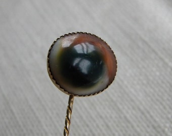 Operculum jewelry | Etsy