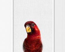 Unique parrot poster related items | Etsy