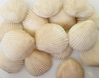 Seashell cake topper | Etsy