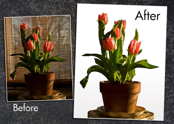 Photo editing remove background erase background fix