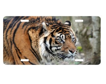 Lsu tiger plate | Etsy