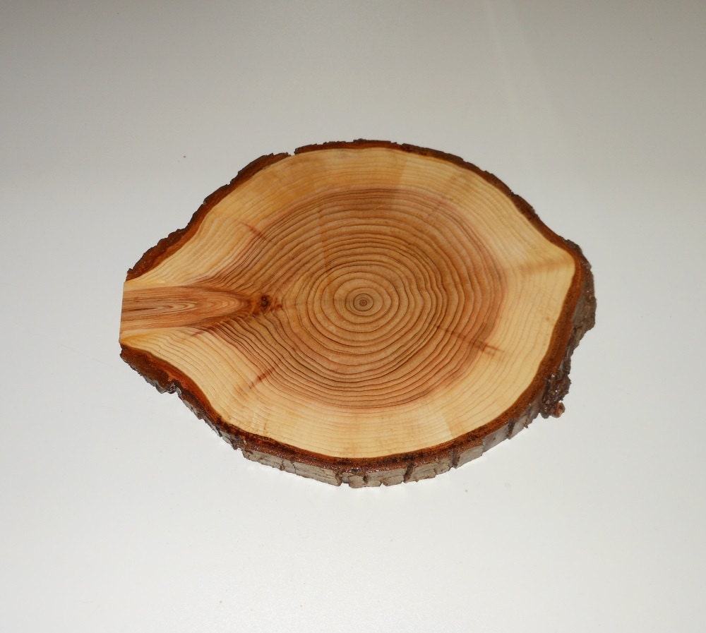Western Red Cedar 8 9 inch Diameter Tree Platter For Rustic