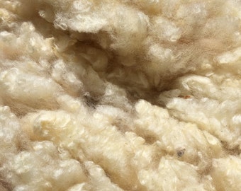 Kookaburra Wool Wash Scour 16 oz All Natural by PhoenixFarmFiber