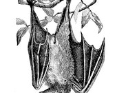 Bad Bat Designs by badbatdesigns on Etsy