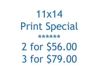 11x14 inch print | Etsy