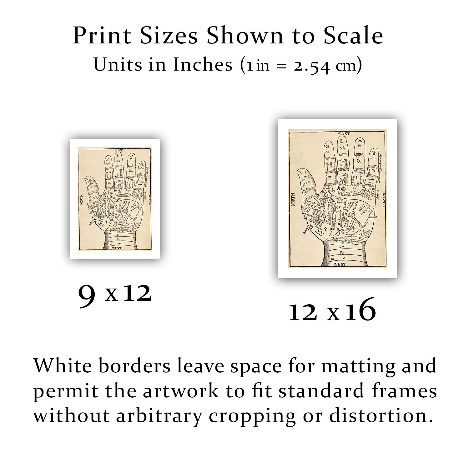 Richard Saunders : Palmistry/Chiromancy Chart 1653 by Renfields