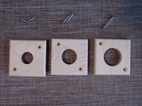 Birdhouse Predator Guard