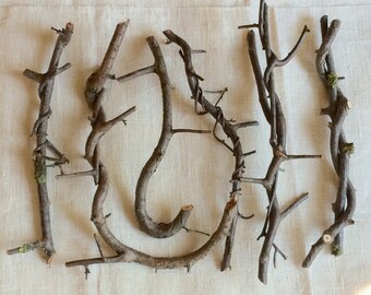 Twisted vines | Etsy