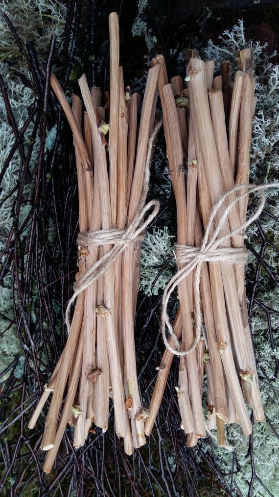 wood sticks crafting art craft sticks twigs flowering
