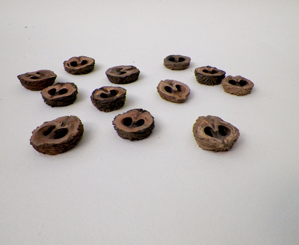 Black Walnut Shell Slices rustic heart slabs walnut shell