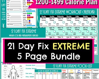 21 day fix sheet | Etsy