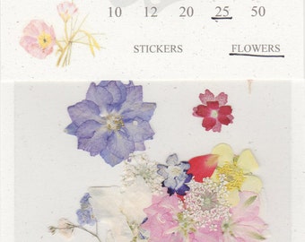 Pressed flower | Etsy