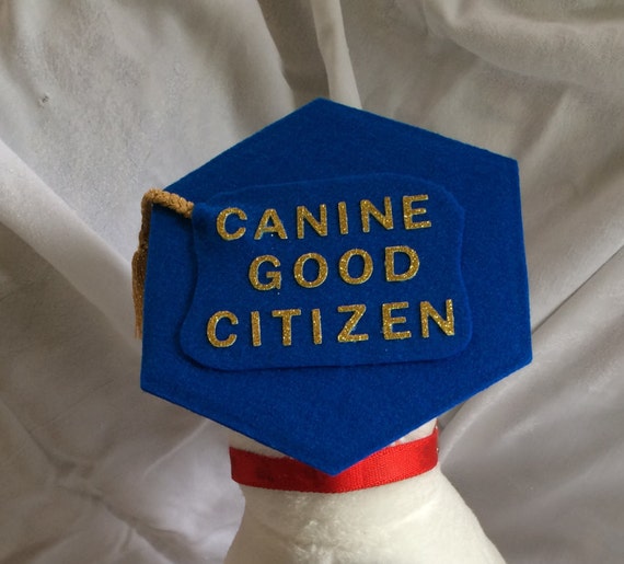 Canine Good Citizen CGC Hexagon Tam / Graduation Cap