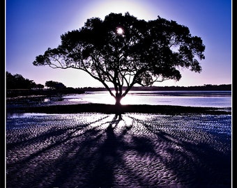 Paul Strand Photo Porch Shadows 1915