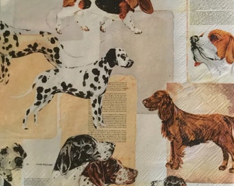 Beagle clip art | Etsy