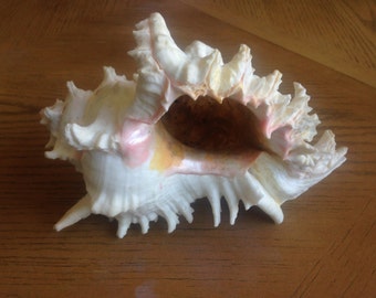 Swan soap dish | Etsy