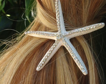 Maui seashells | Etsy