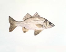 Popular items for bass watercolor on Etsy