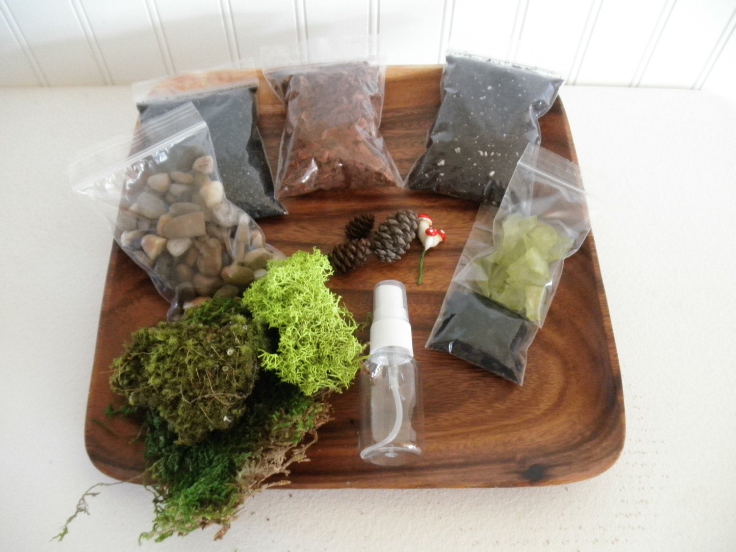 DIY Woodland Terrarium Kit Use your own Container