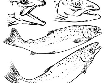 Salmon outline | Etsy
