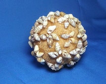 Unique seashell balls related items | Etsy