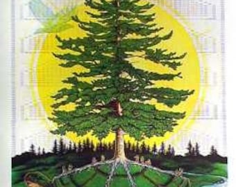 Haudenosaunee | Etsy