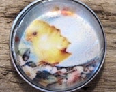 Doozle Dazzle by DoozleDazzle on Etsy