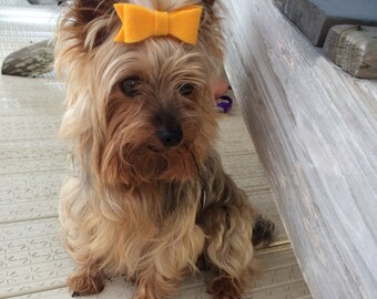 Yorkie hair bows | Etsy