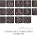 Elizabethan Blackwork Floral Designs Pack Historical