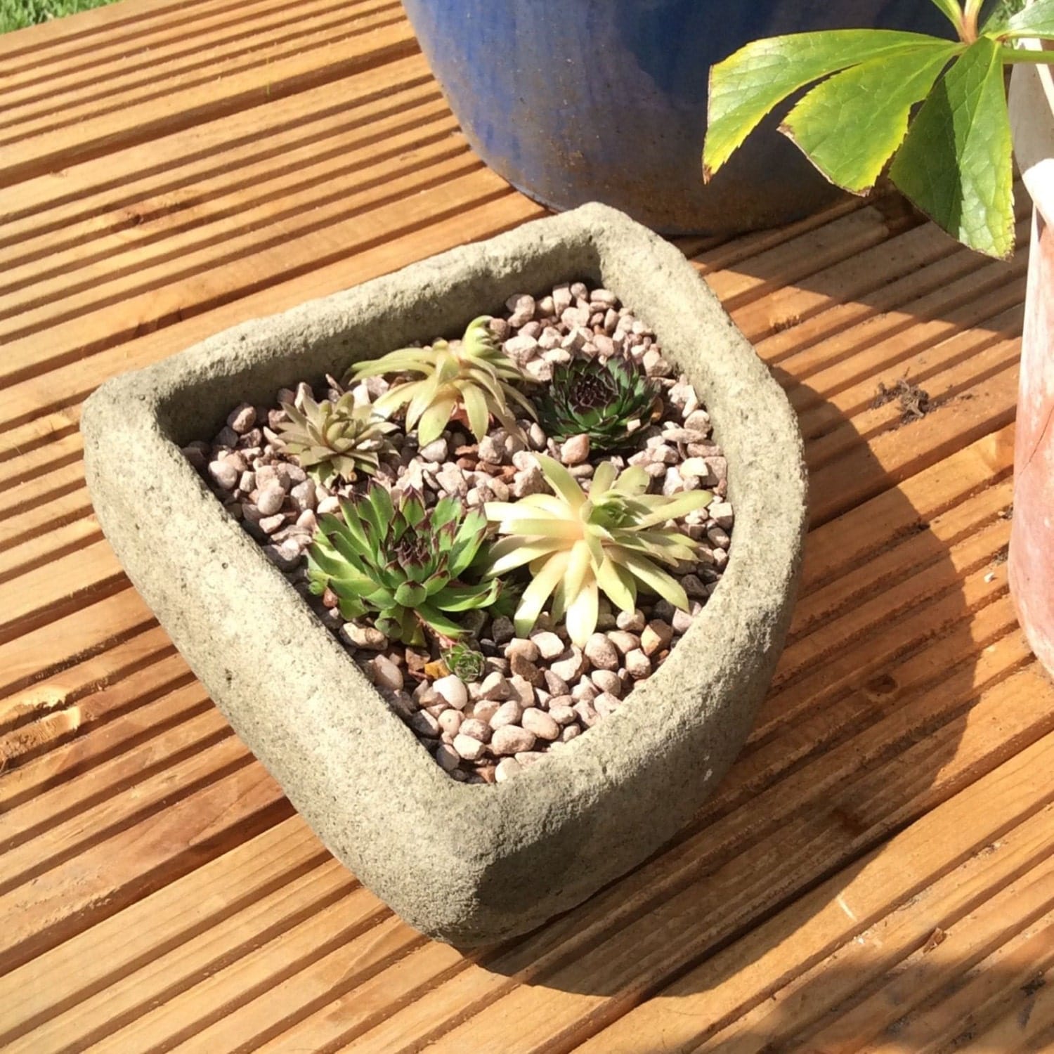 Corner trough stone garden planter supervivum alpine