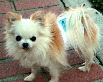 Doggie diaper | Etsy